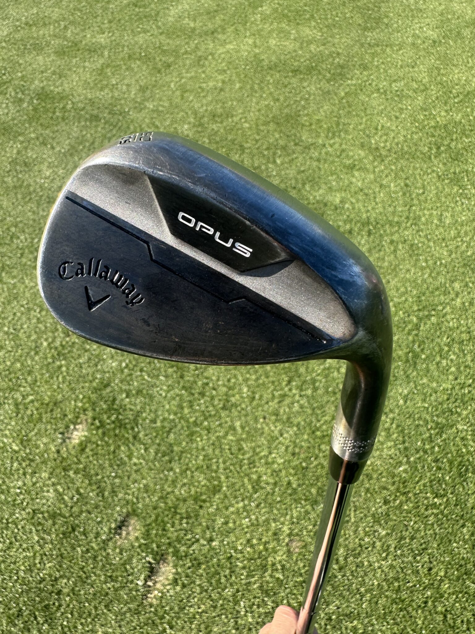 Welcome to the Show Kid: Blades Brown WITB 2025 - World of Wunder